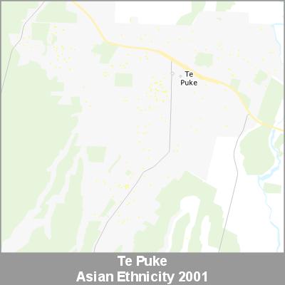2001 Asian Ethnicity Te Puke - Digital Maps