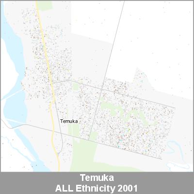 2019 Crashes Temuka - Digital Maps