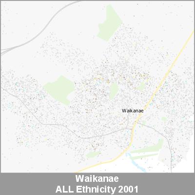 2020 Street Map Waikanae - Digital Maps