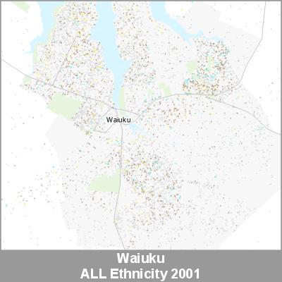 2001 ALL Ethnicity Waiuku - Digital Maps