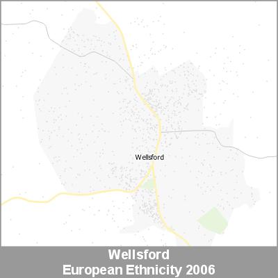 2020 Tron Map Wellsford - Digital Maps
