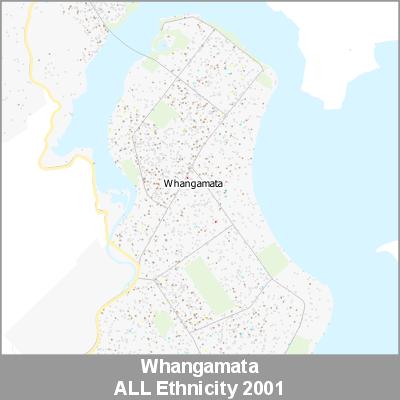 2020 Street Map Whangamata - Digital Maps
