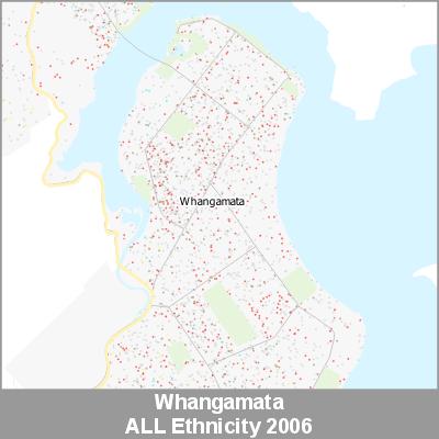 2020 Street Map Whangamata - Digital Maps